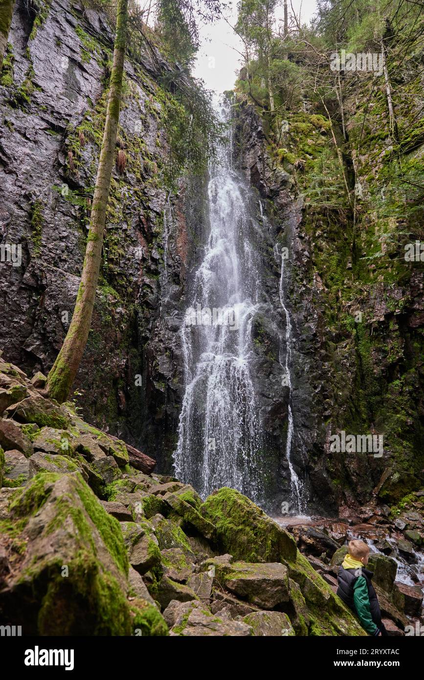 Burgbach Waterfall in coniferous forest falls over granite rocks into ...