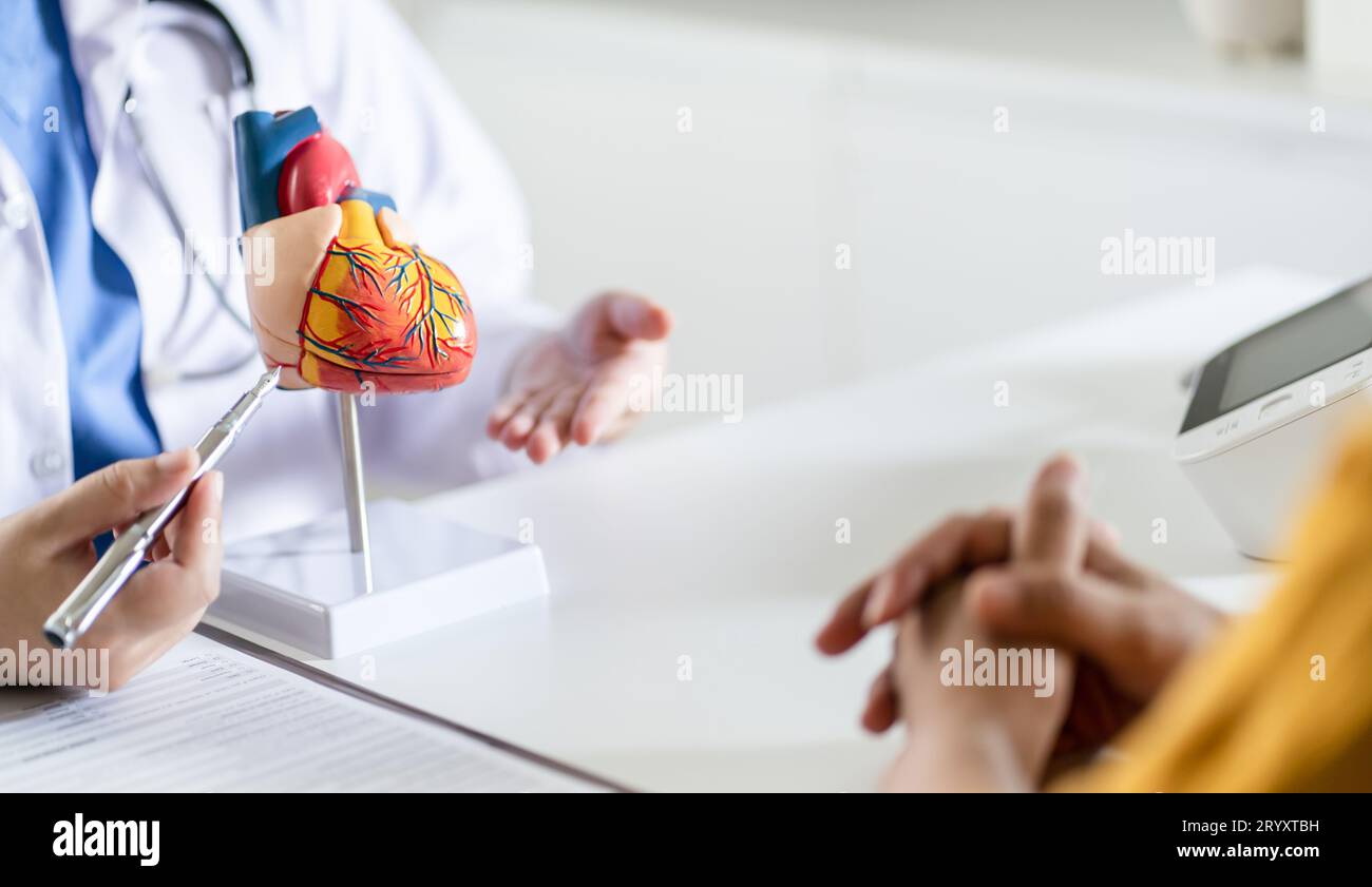 Cardiology Consultation treatment of heart disease. Doctor cardiologist ...