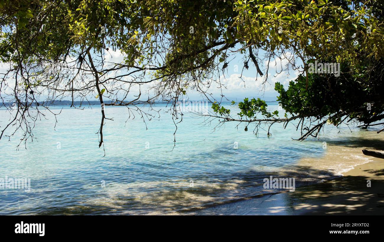 Panama Caribbean tropical beach Stock Photo - Alamy