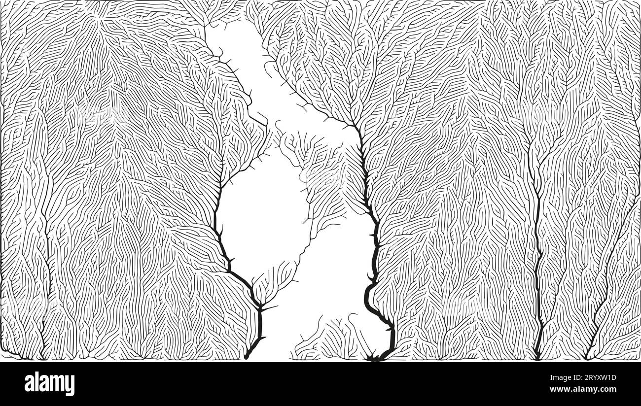 Growth Pattern Generative Branching Structure Organic Net Of Vessels Texture Stock Vector