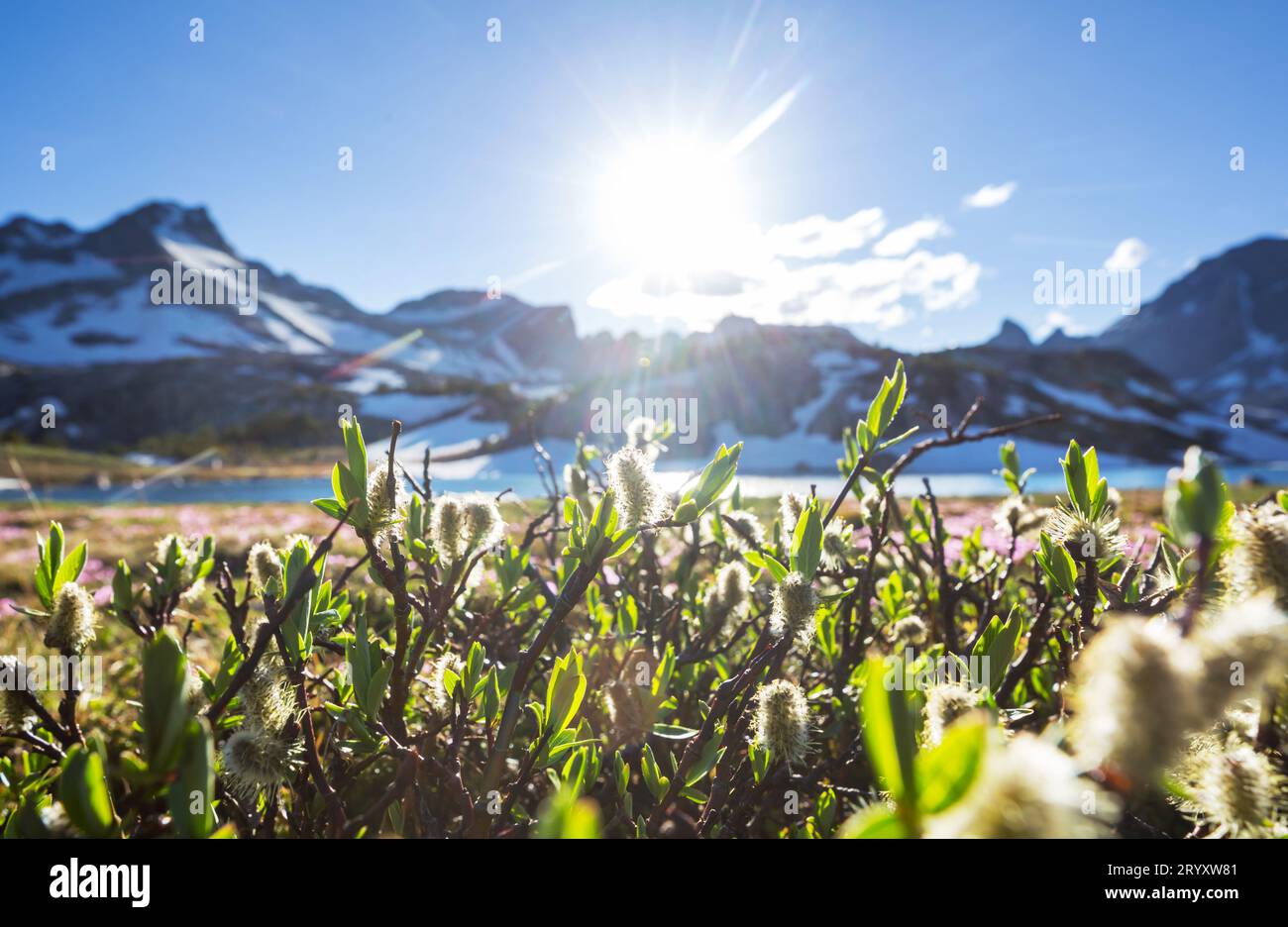 Spring in mountains Stock Photo - Alamy