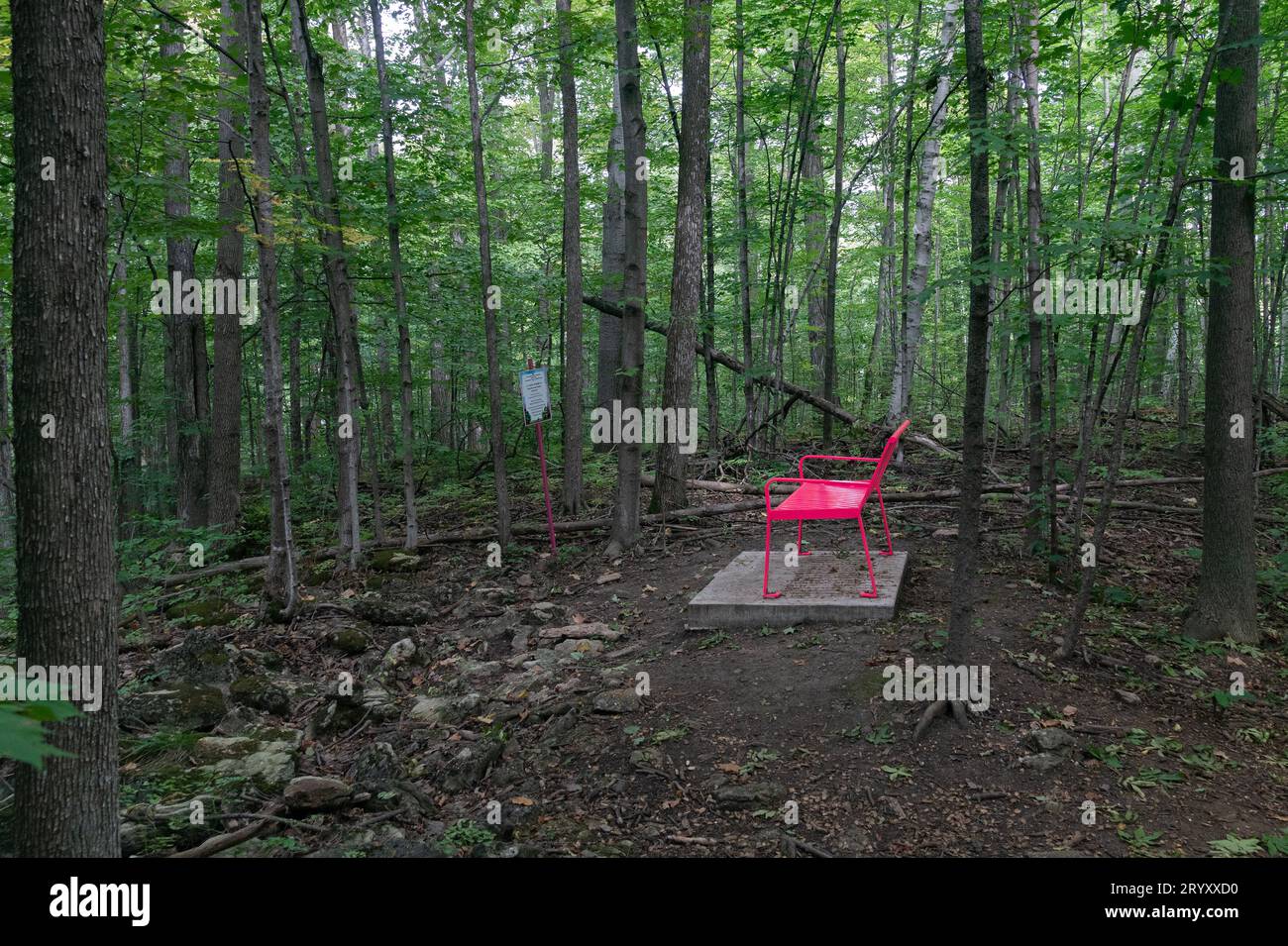 Canadian mailbox, isolated on white background Stock Photo - Alamy