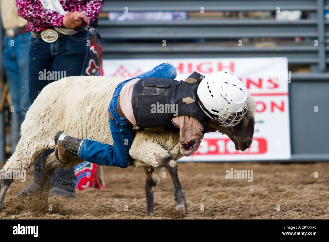 Rodeo mutton bustin hi-res stock photography and images - Alamy