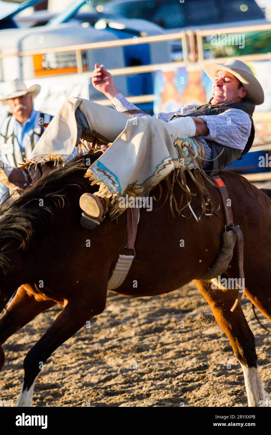 Bareback bronc riding hi-res stock photography and images - Alamy
