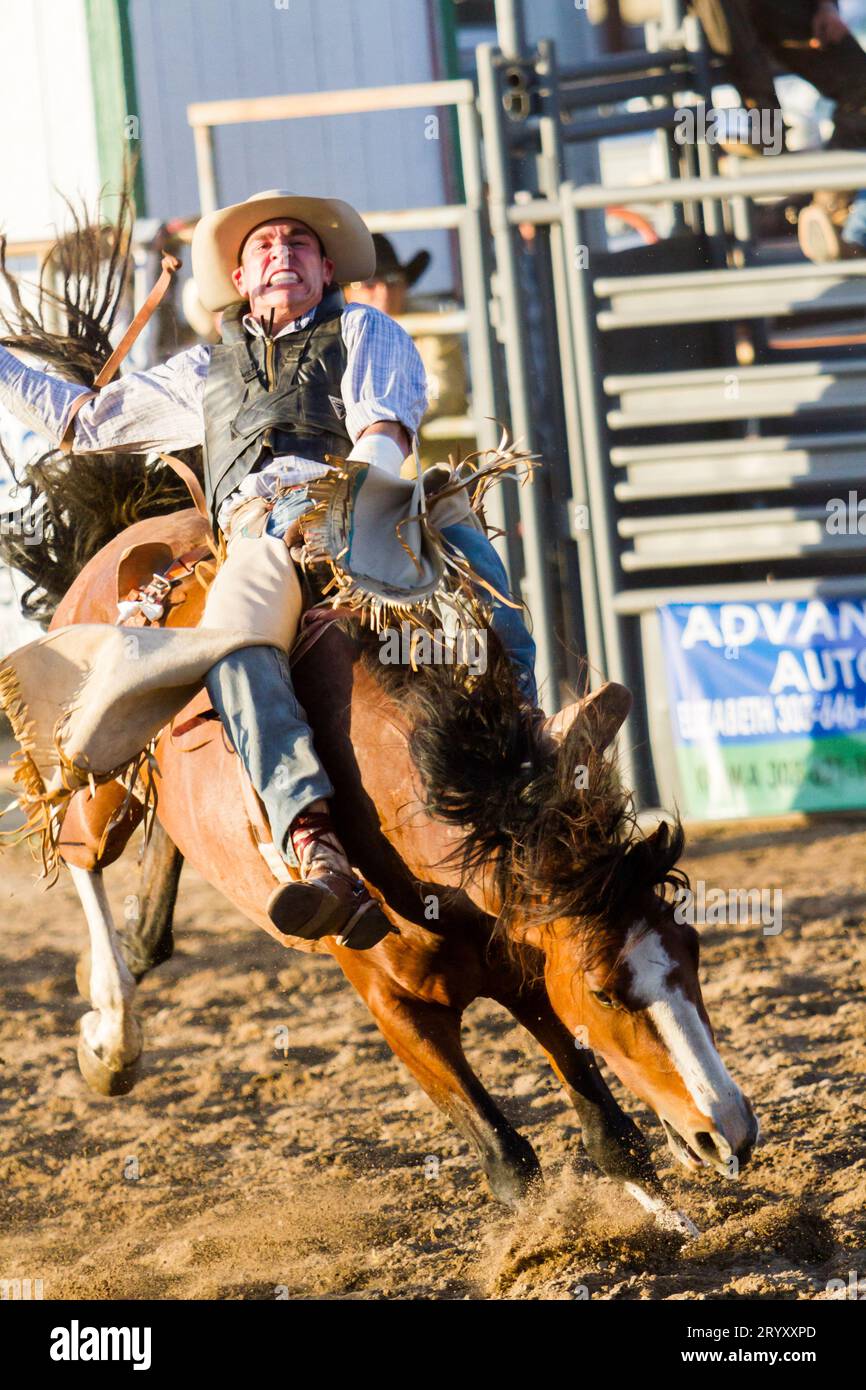 Bareback bronc riding hi-res stock photography and images - Alamy