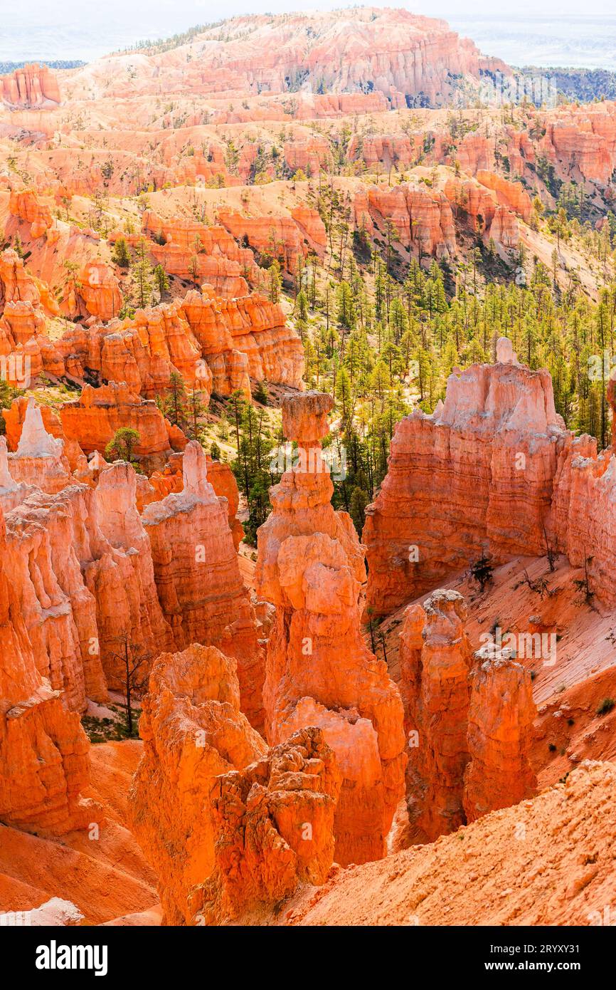 Nature scene showing beautiful hoodoos, pinnacles and spires rock ...