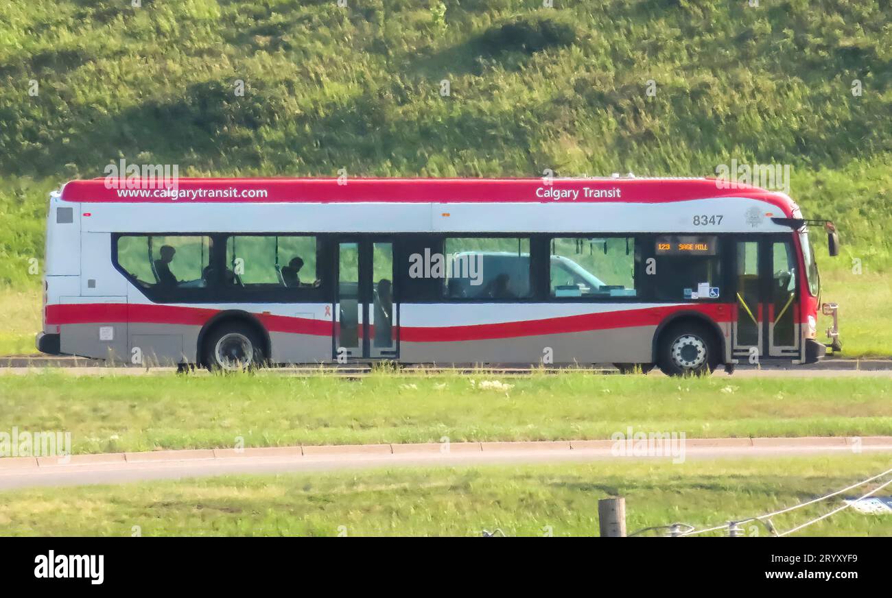 Transit bus hi-res stock photography and images - Alamy