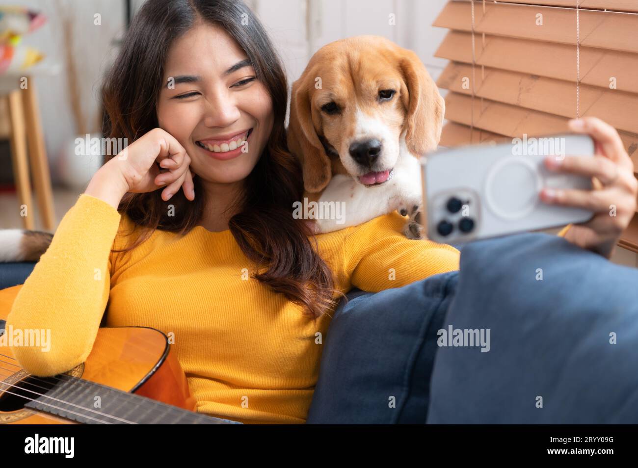 Beagle dog joining the owner's selfie on the sofa in the living room of ...