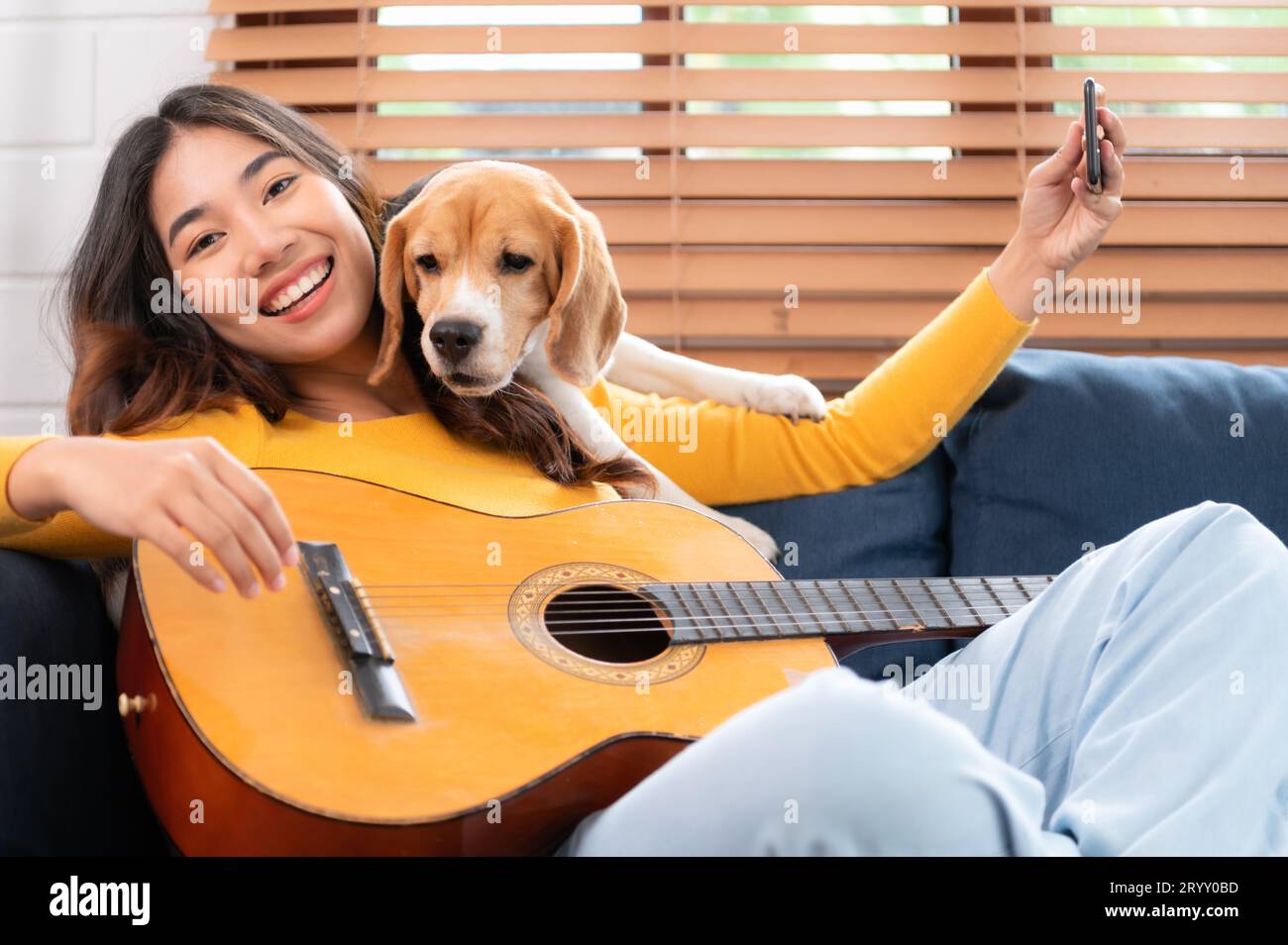 Beagle dog joining the owner's selfie on the sofa in the living room of ...