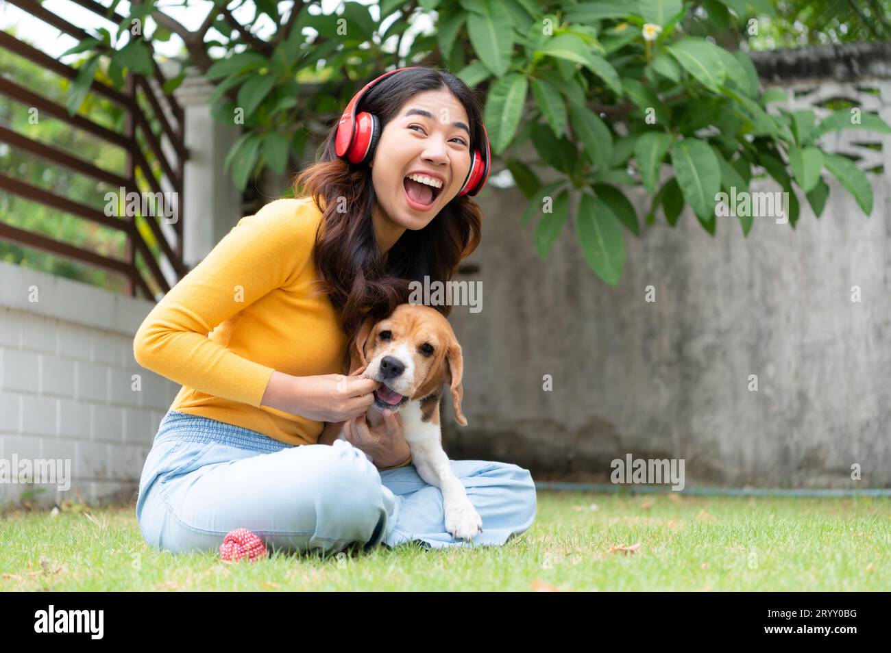 Young asian woman and beagle puppy relaxing on weekends in the front ...