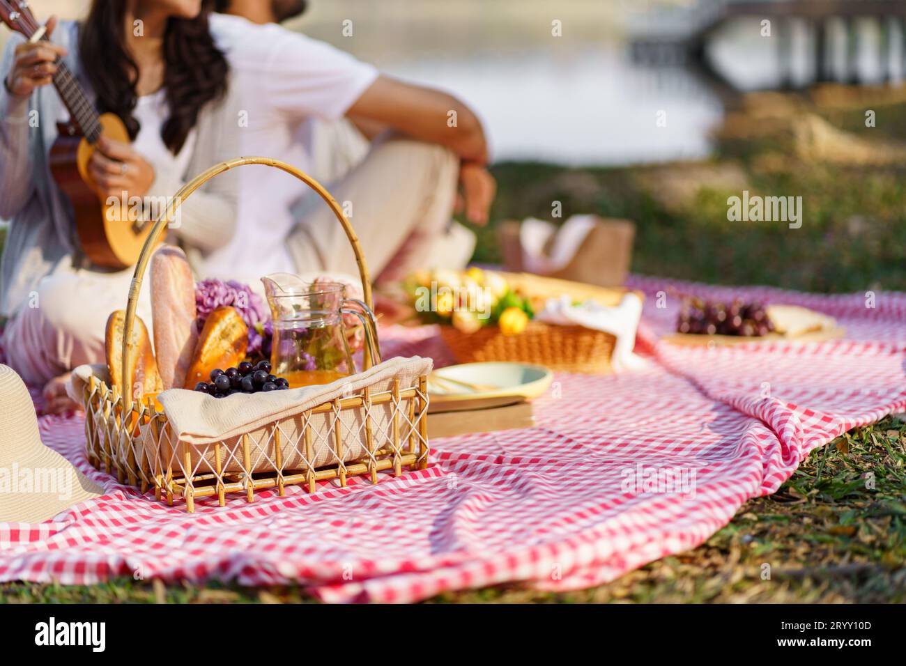 Picnic Lunch Meal Outdoors Park with food picnic basket. enjoying ...