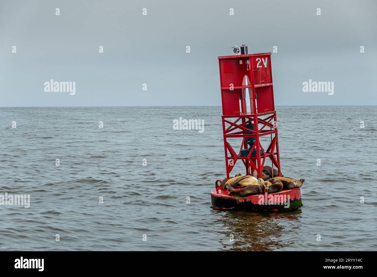 Santa Cruz Island, CA, USA - September 14, 2023: Landscape, Red beacon ...