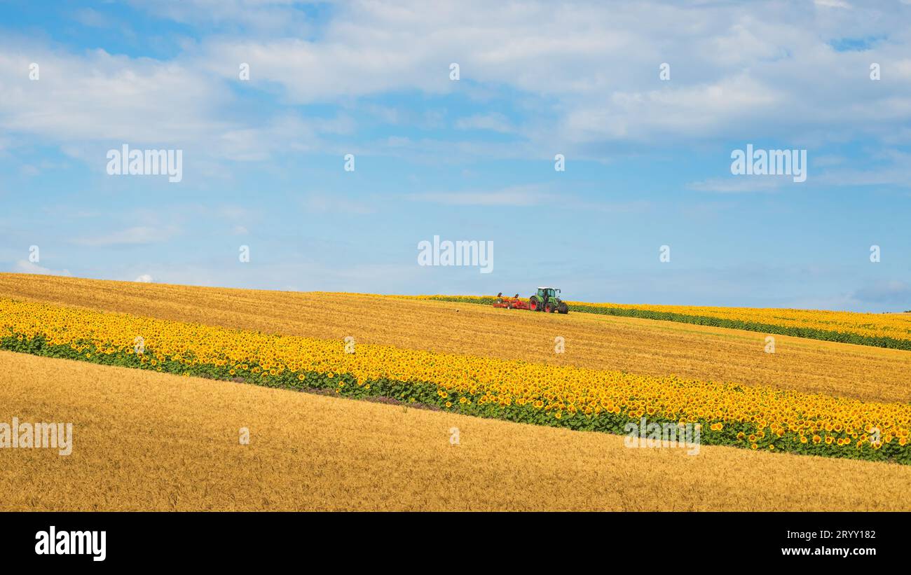 Field balk hi-res stock photography and images - Alamy
