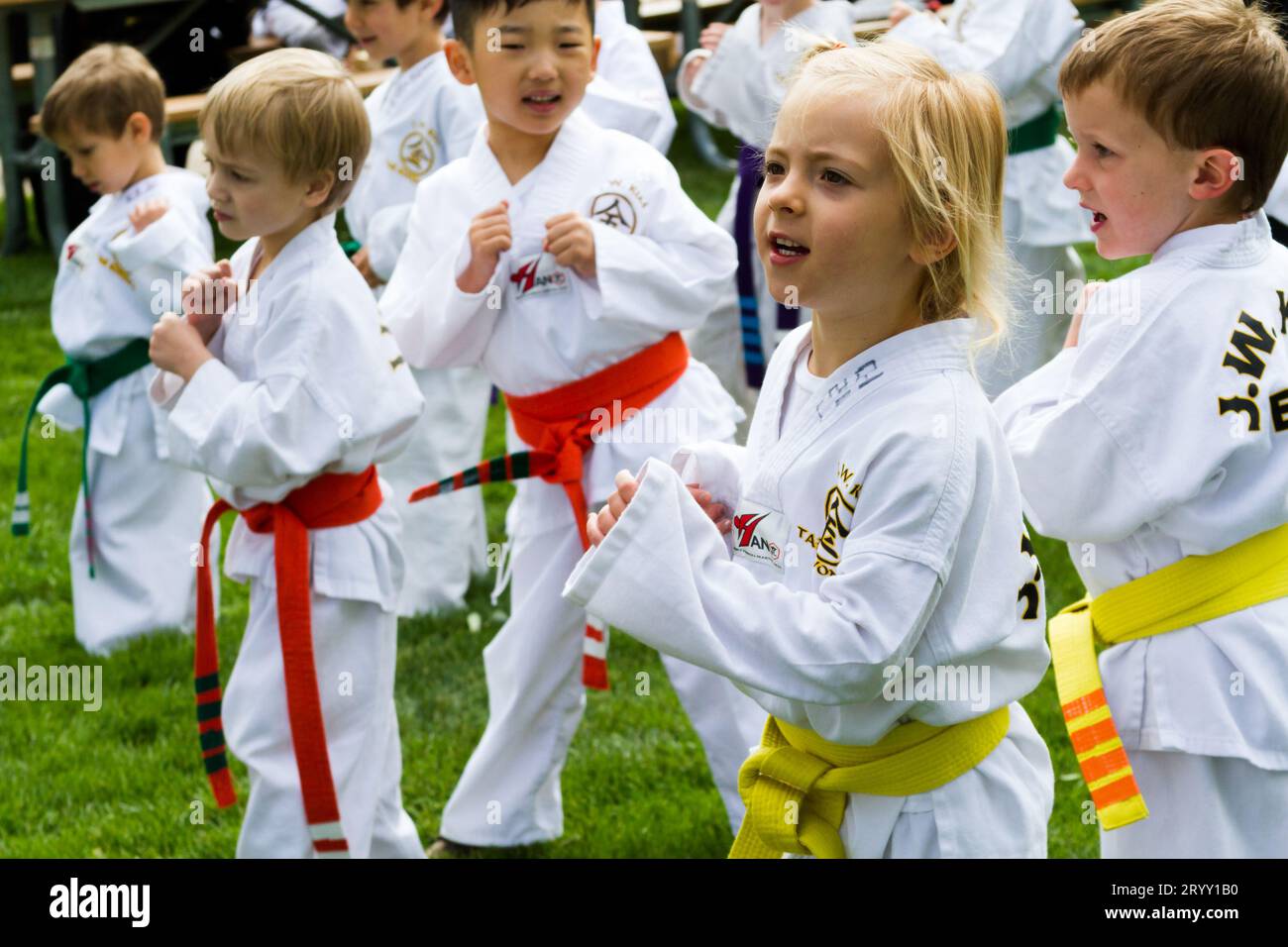 Children tae kwon do hi-res stock photography and images - Alamy