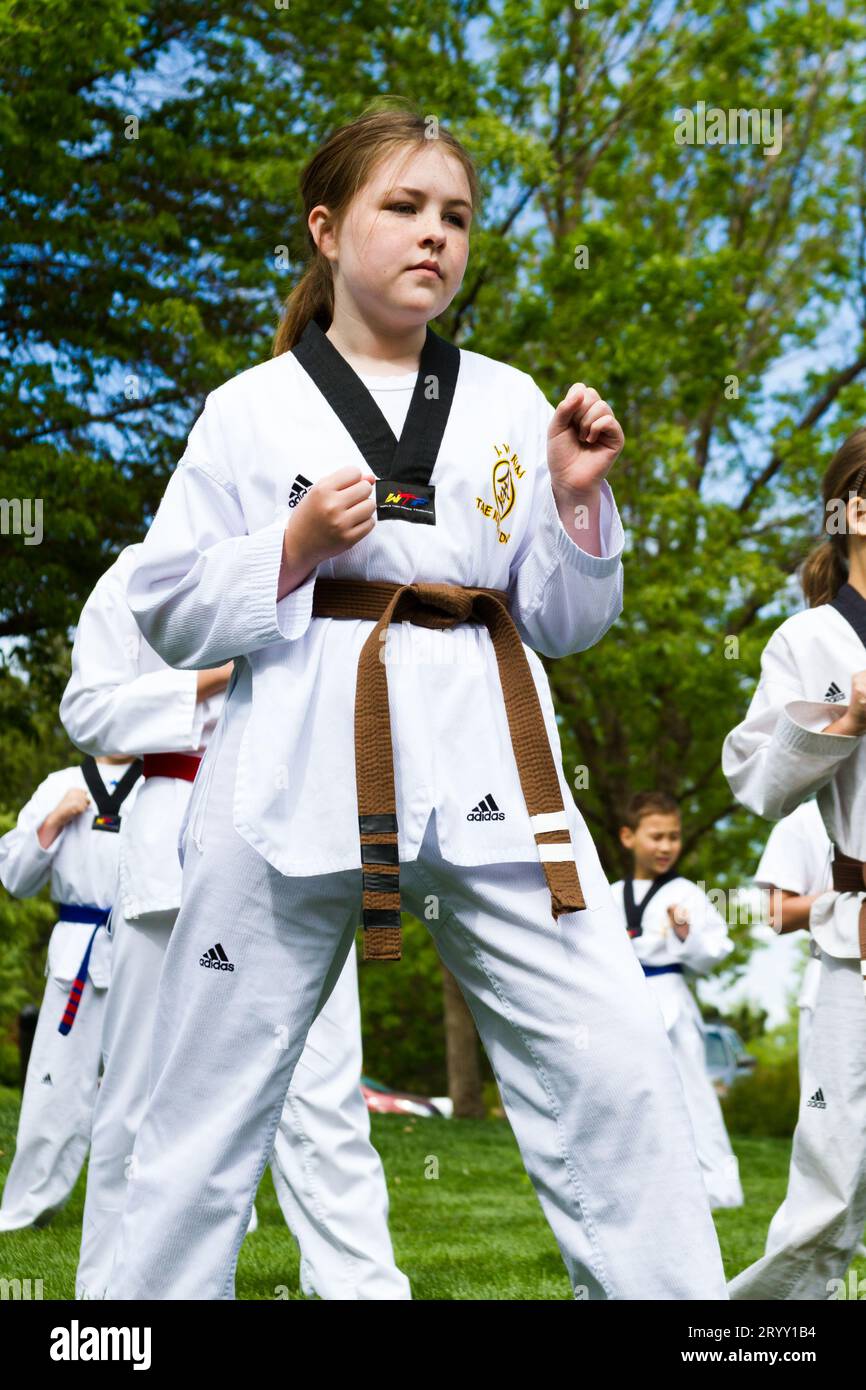 Tae Kwon Do Stock Photo - Alamy