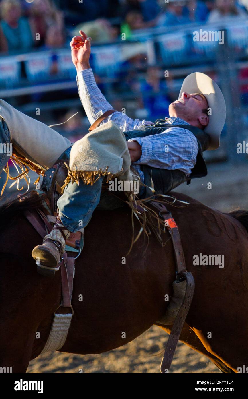 Bareback bronc riding hi-res stock photography and images - Alamy