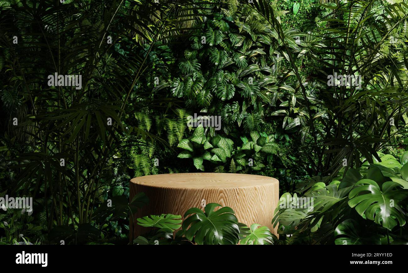 Wooden product display podium in jungle forest and sunshine shadow ...