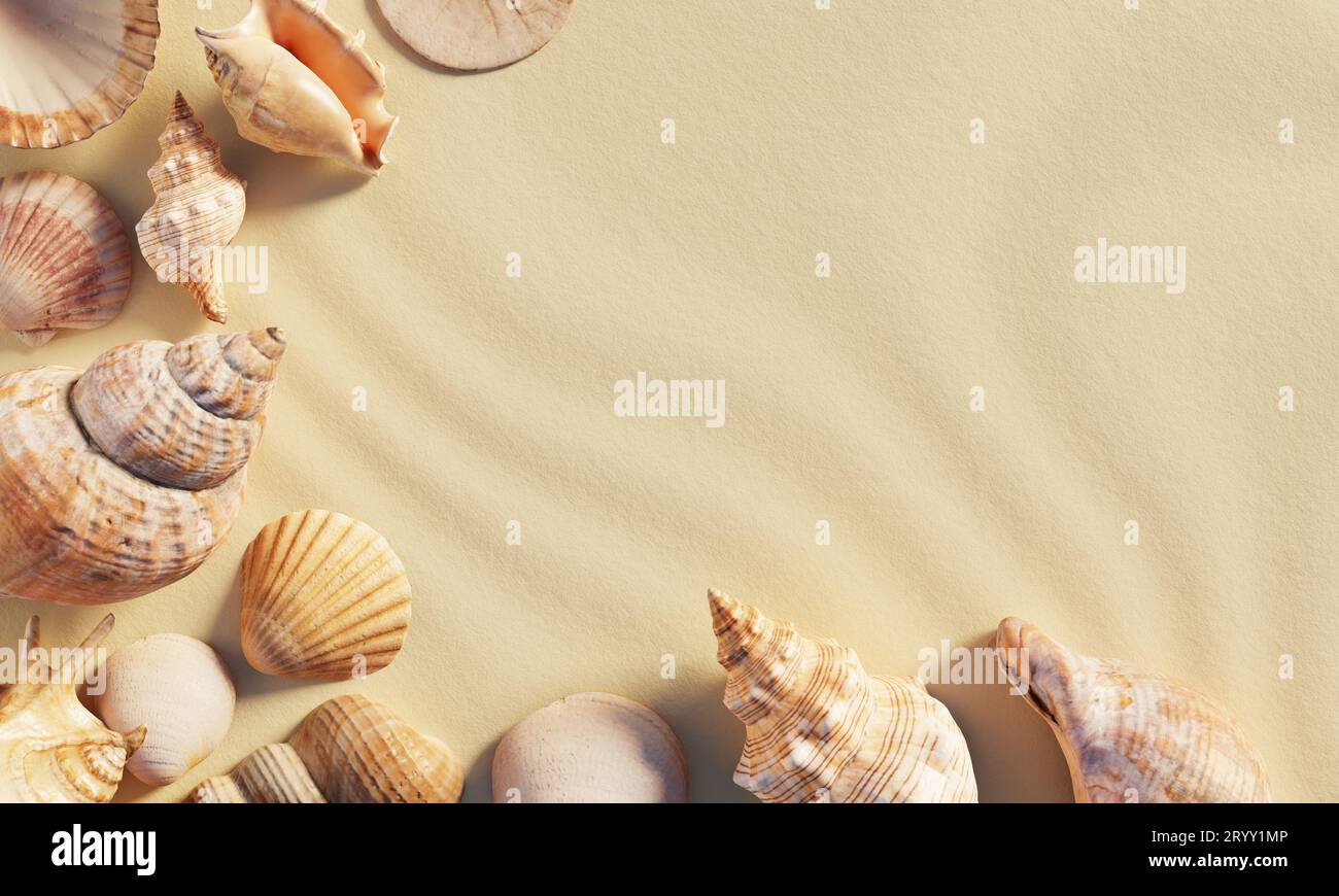 Seashells on the white sand beach background with copy space. Nature ...