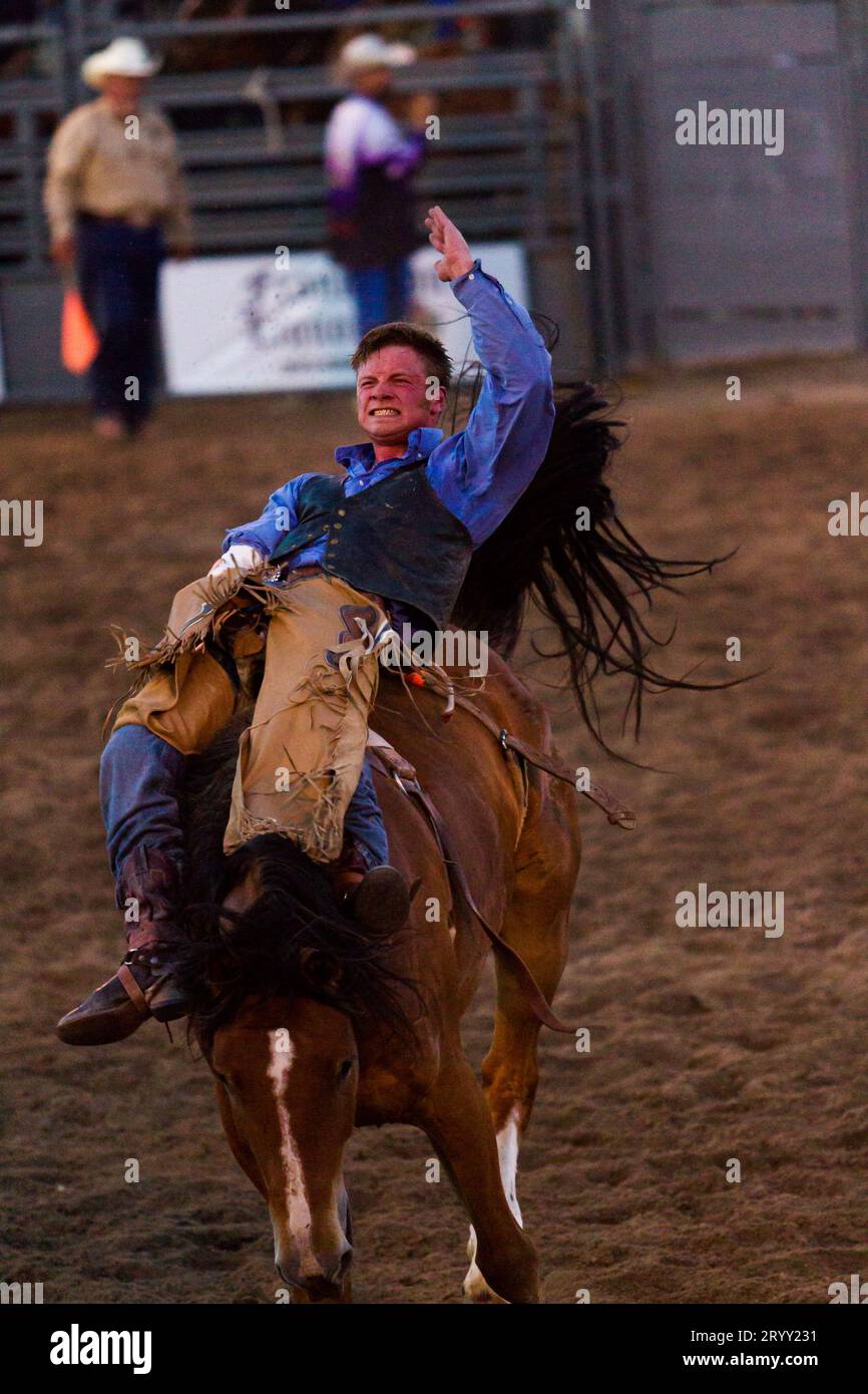 Bareback bronc riding hi-res stock photography and images - Alamy