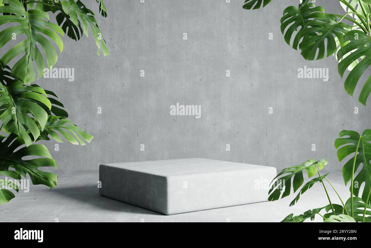 One rectangle podium in grey loft color background with Monstera plant ...