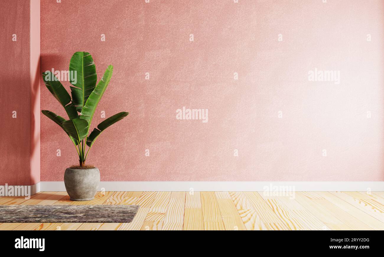 Banana plant pot in the red coral color living room with raw concrete ...