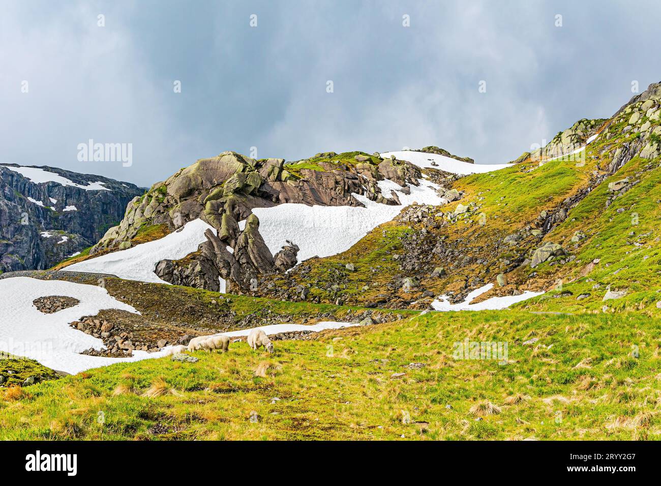 Cold summer in Norway Stock Photo - Alamy