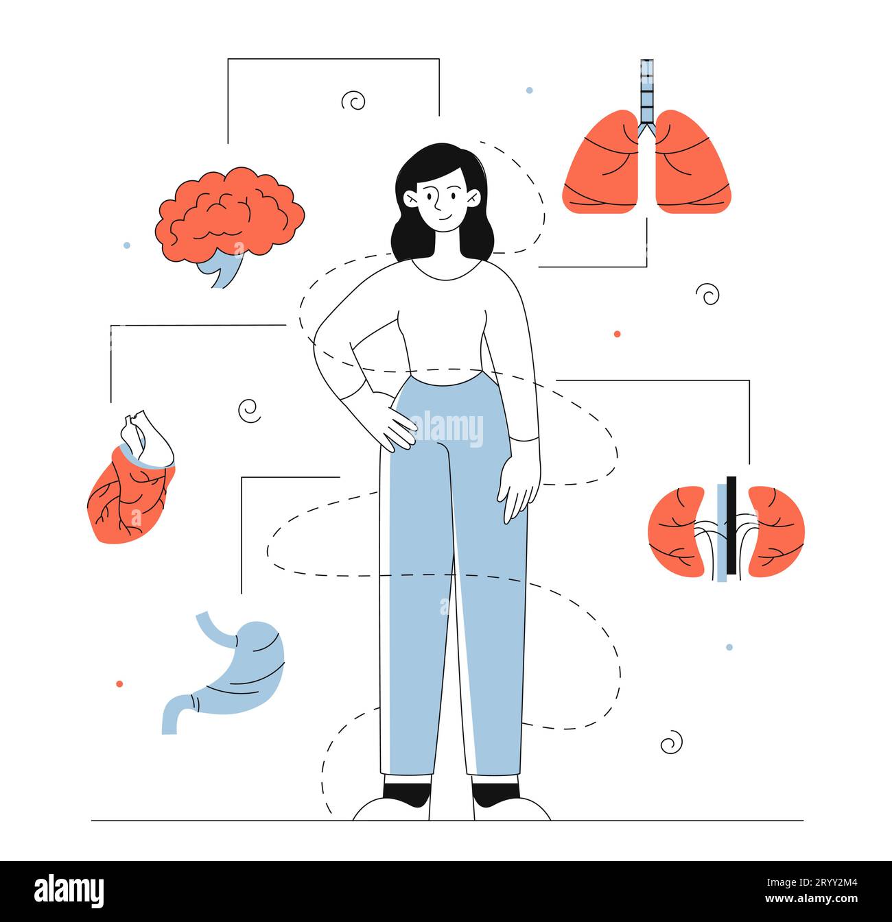 Woman with anatomy body line vector concept Stock Vector Image & Art ...