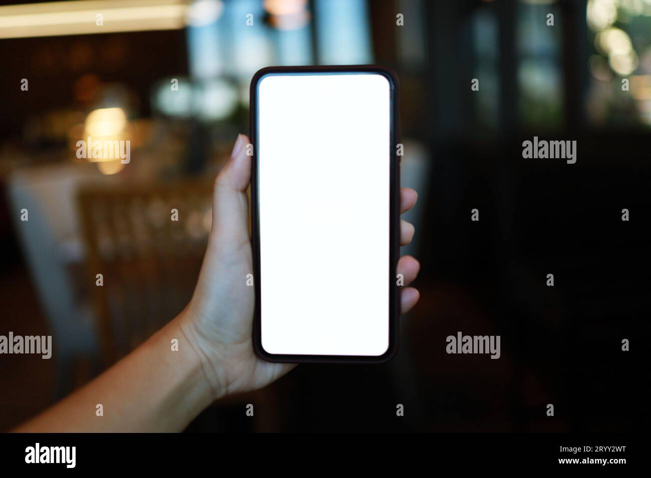 Women's hands holding cell telephone blank copy space screen. smart ...