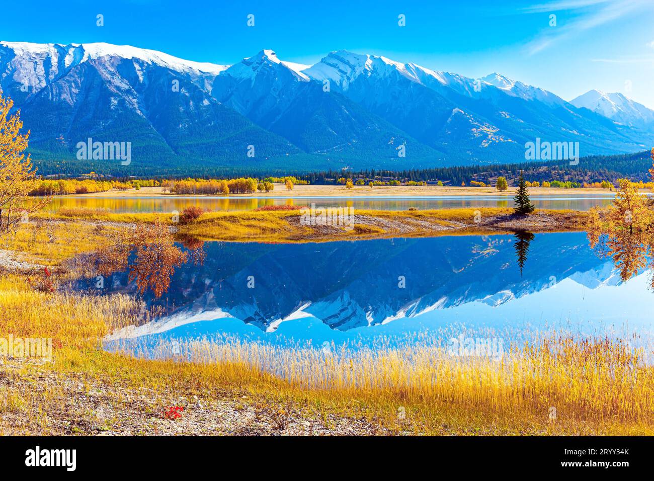Smooth rocky surface hi-res stock photography and images - Alamy