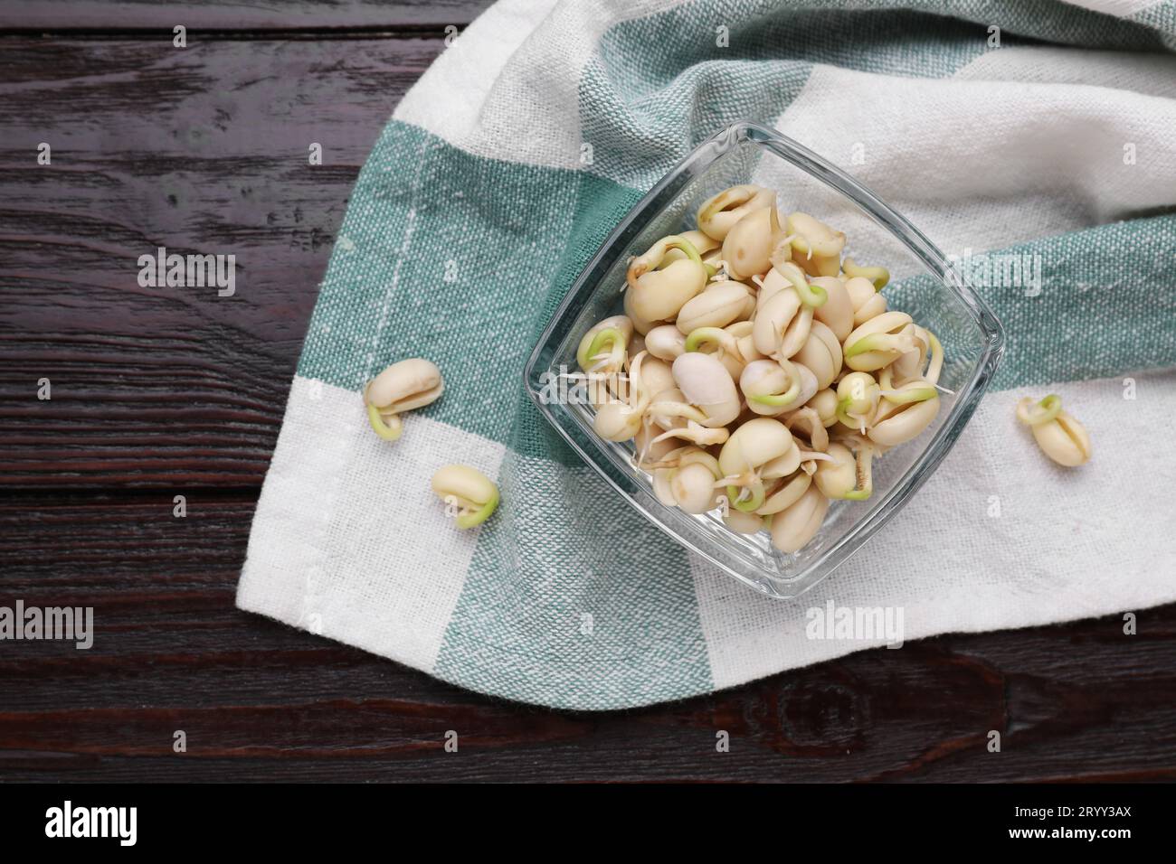 Sprouted kidney beans on dark wooden table, top view. Space for text ...