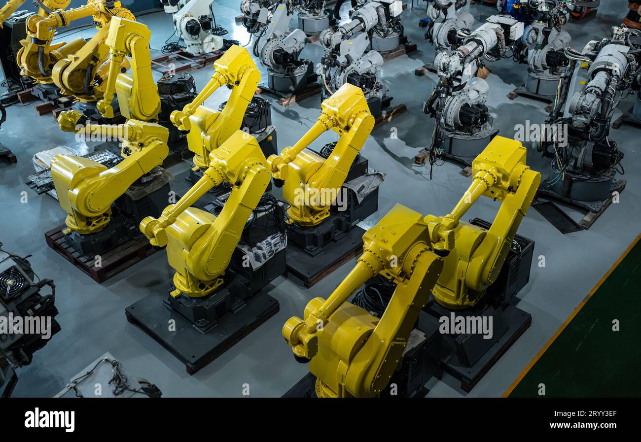 Robot warehouse, a place to store robotic arm to inspect, program and ...