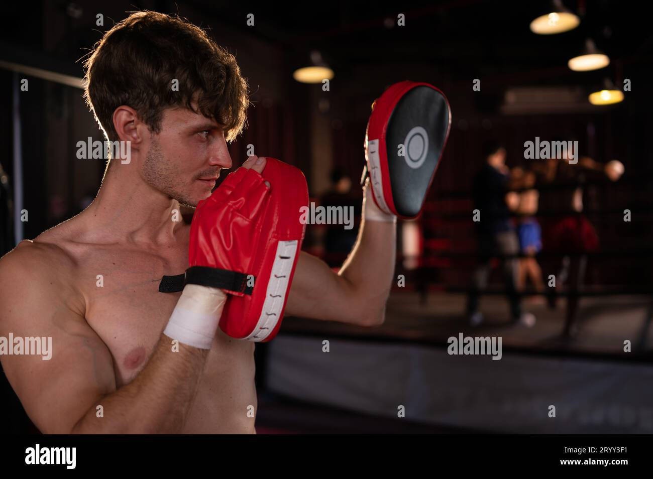 Portrait of boxer's training partner self-defense equipment must be ...