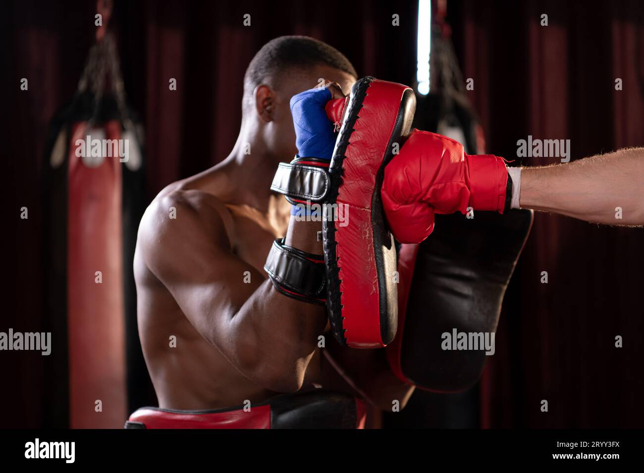 Two foreign boxers are practicing Muay Thai. to prepare for the real ...