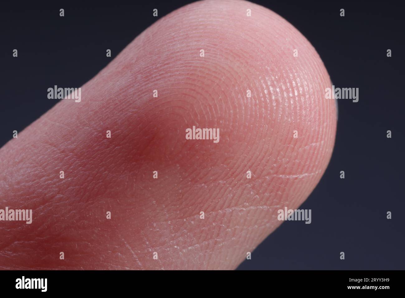 Finger with friction ridges on dark background, macro view Stock Photo ...