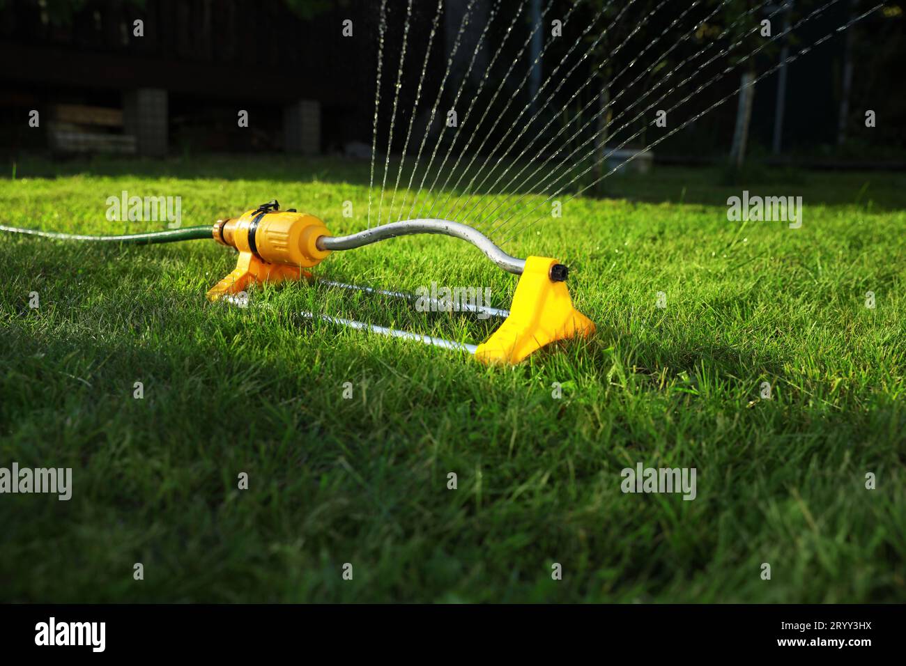 Automatic sprinkler watering green grass on lawn outdoors. Irrigation ...