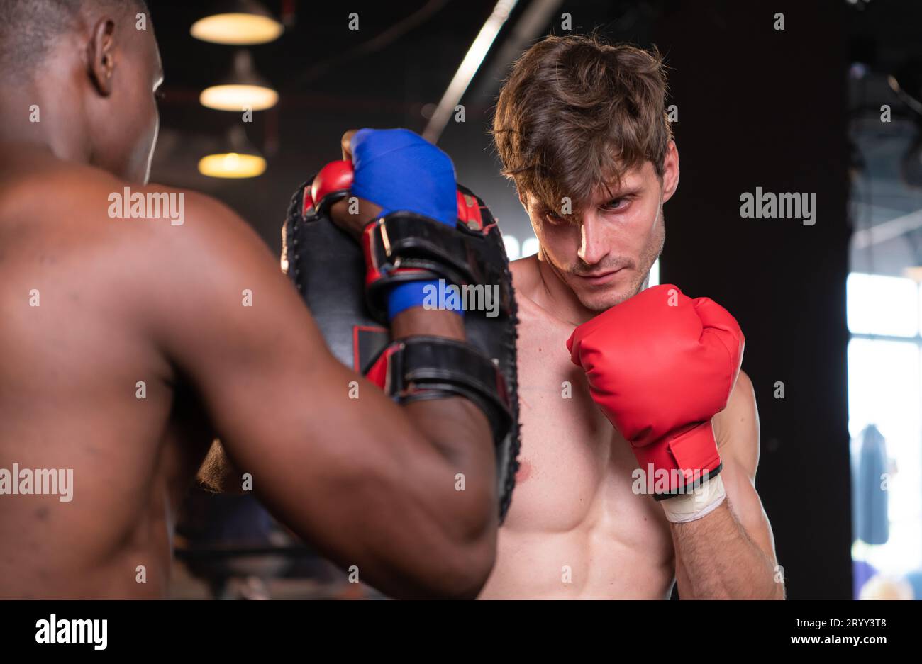 Two foreign boxers are practicing Muay Thai. to prepare for the real ...