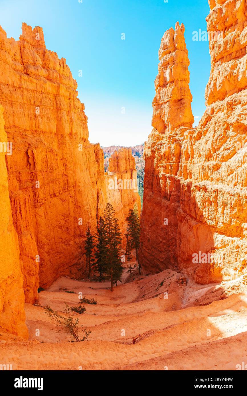 Hiking trail at Queens Garden trial at Bryce Canyon National Park in ...