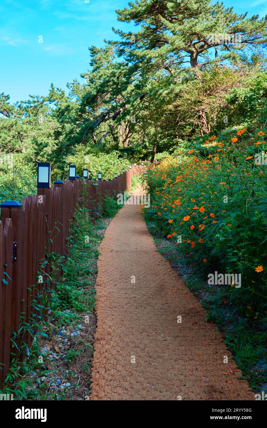 A forest path with orange flowers in bloom, a railing on the left, and ...