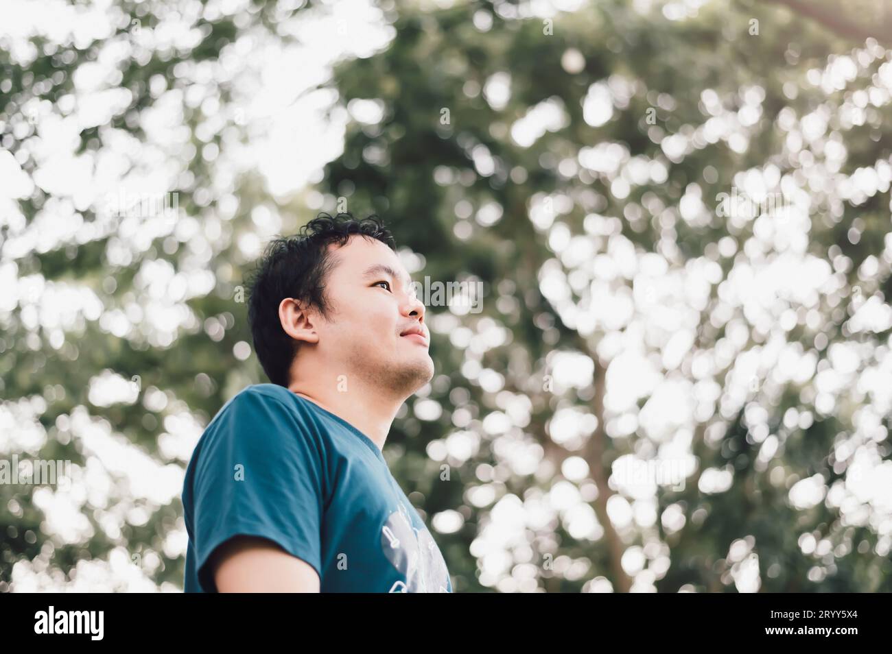 Man standing under tree hi-res stock photography and images - Alamy