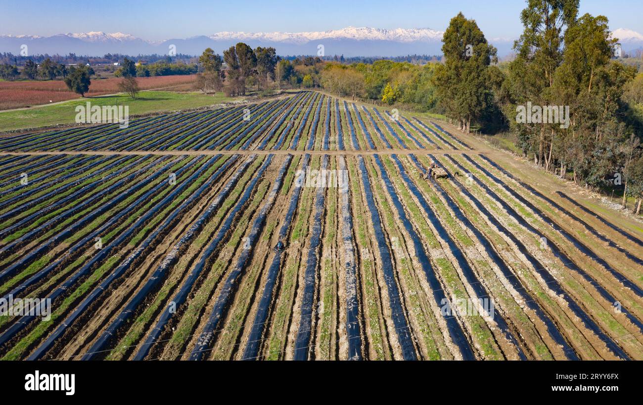 Aerial top view drone photography of chilean landscape Stock Photo - Alamy