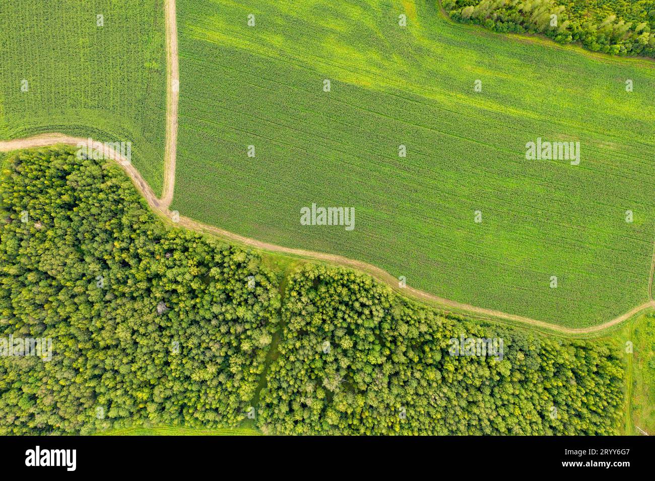 Aerial top view drone photography of a land with sown green fields in ...