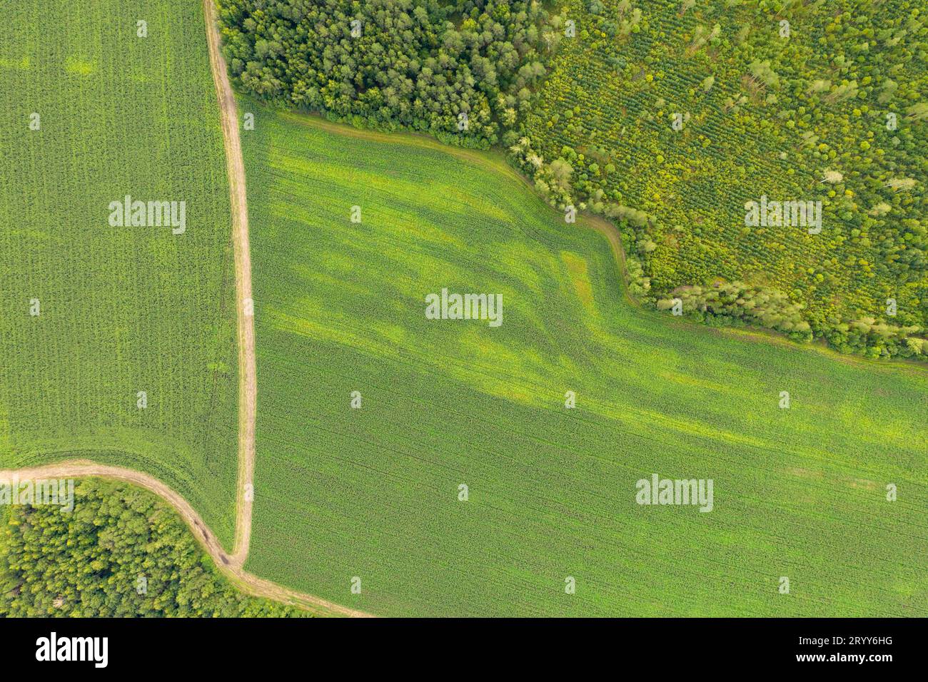 Aerial top view drone photography of a land with sown green fields in ...