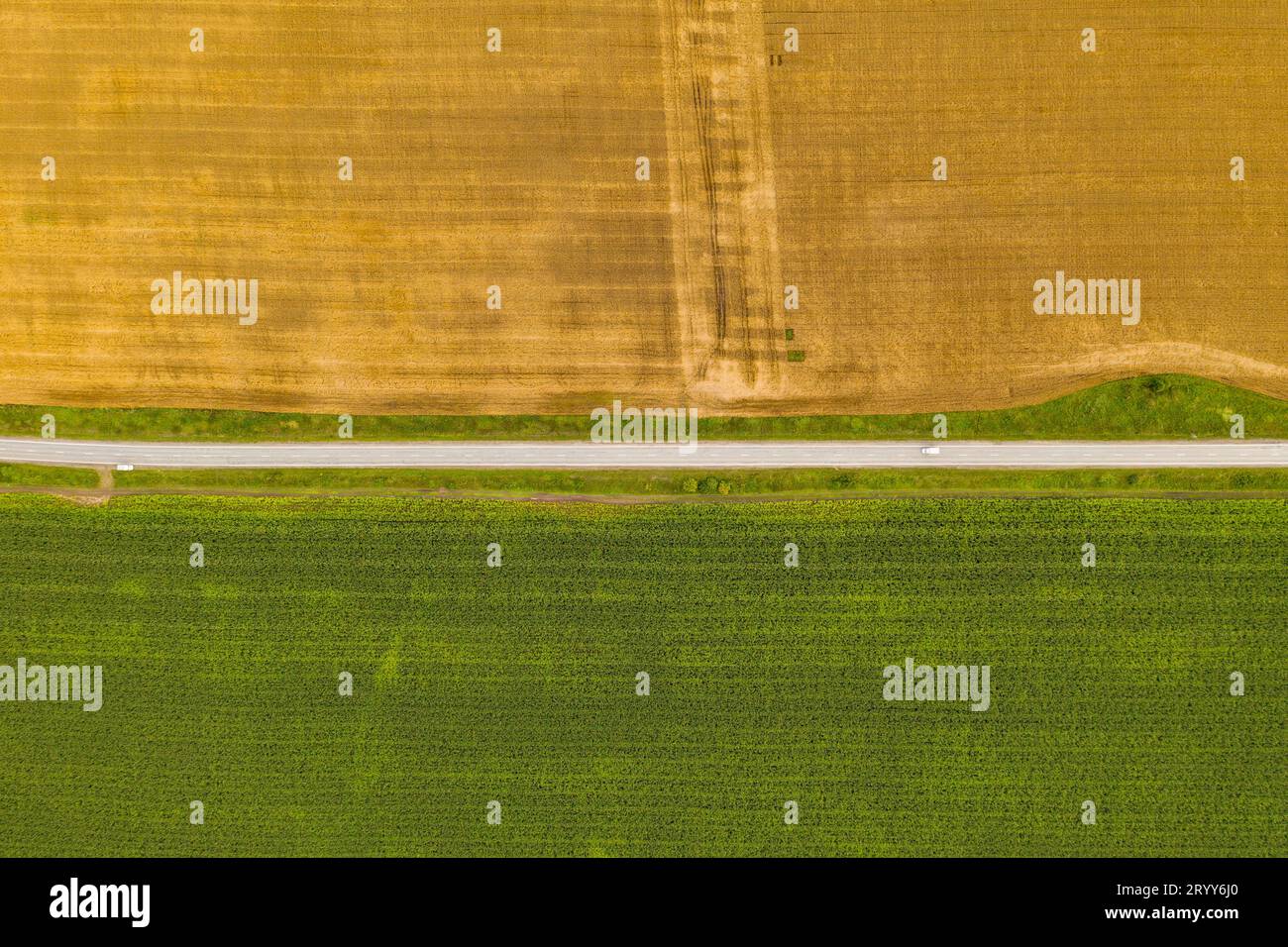 Aerial top view drone photography of a land with sown green fields in ...