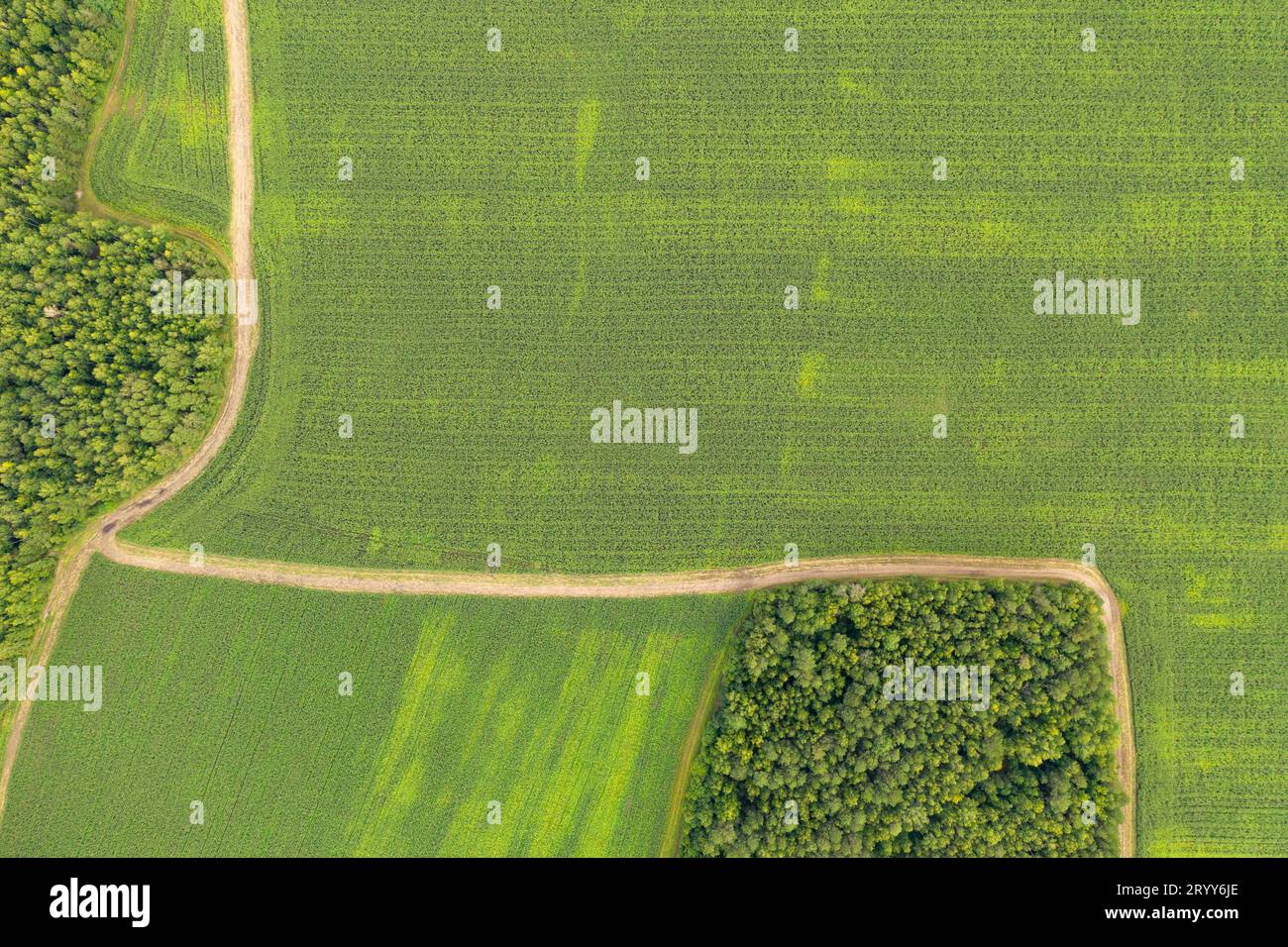Aerial top view drone photography of a land with sown green fields in ...
