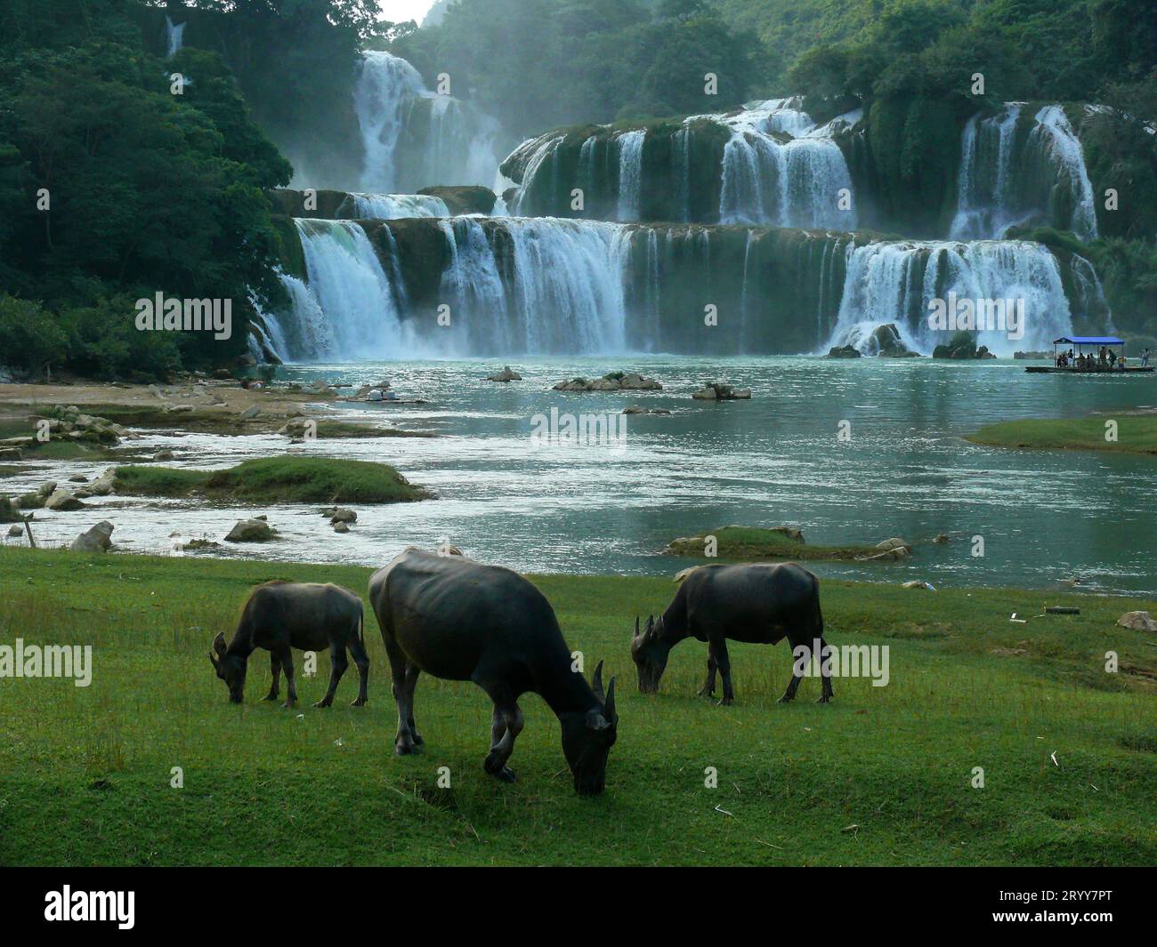 Cao Bang area in the north of Vietnam. Ban Gioc waterfall Stock Photo ...
