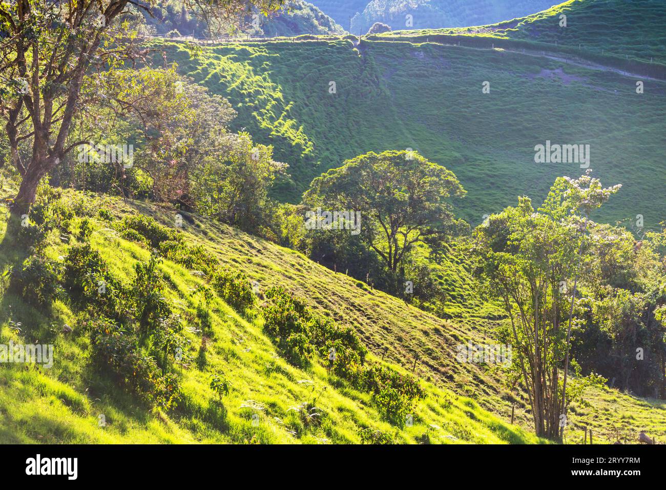 Sur america colombia hi-res stock photography and images - Alamy