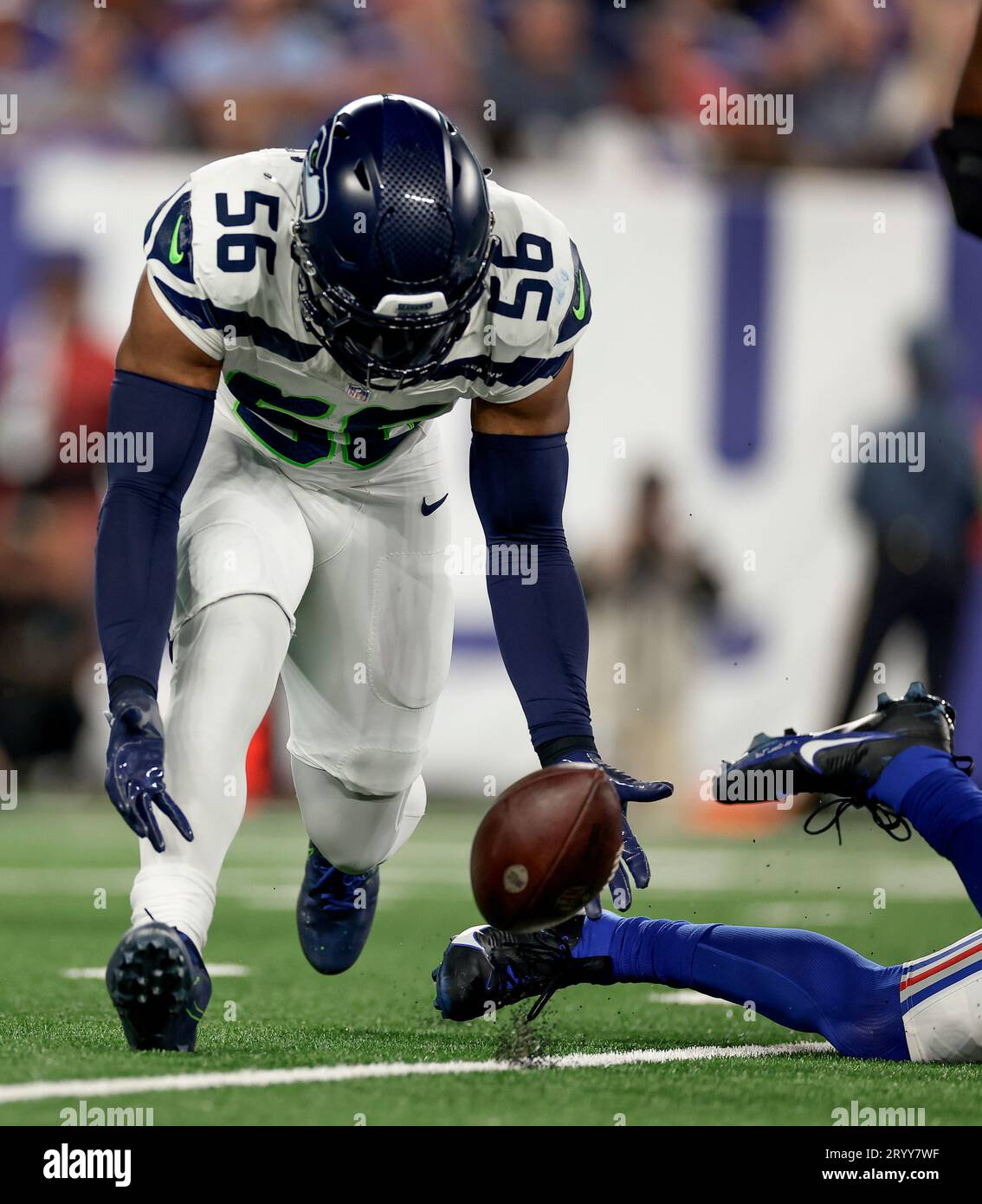 Seattle Seahawks linebacker Jordyn Brooks (56) recovers a fumble by New ...