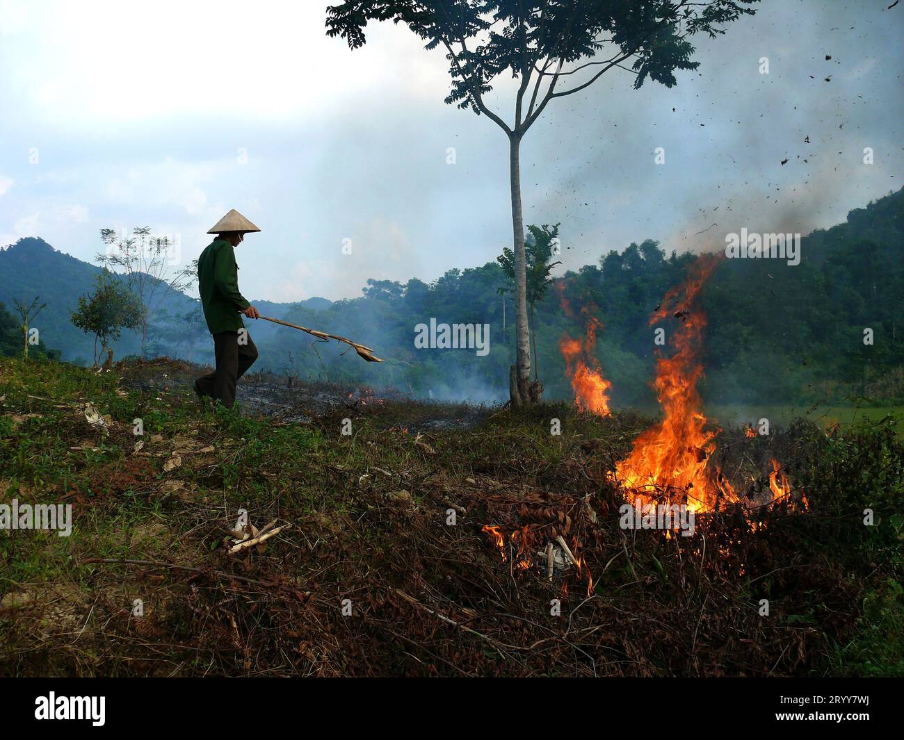 Cao Bang area in the north of Vietnam. Man burning crop residues Stock ...