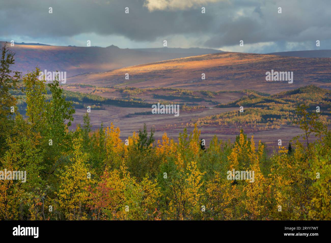 Hiking in the tundra zone in the polar region of Alaska Stock Photo - Alamy