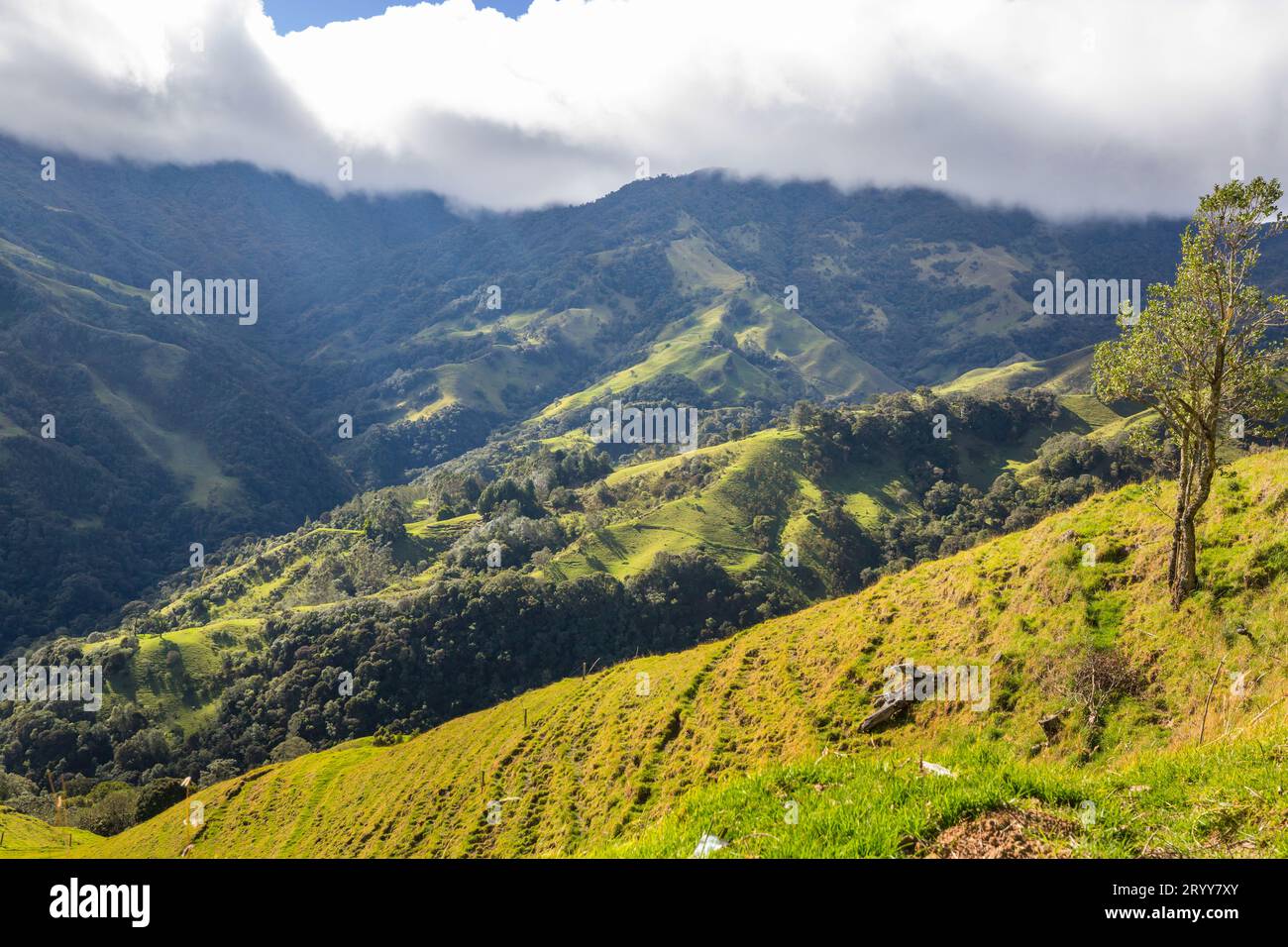 Green hills in Colombia Stock Photo - Alamy